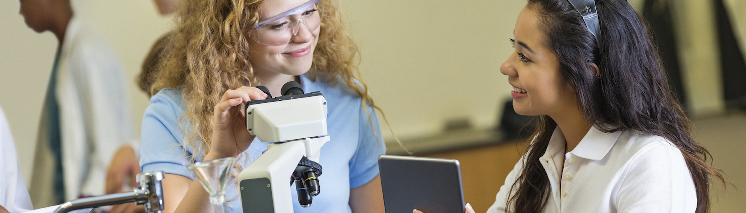 How e-Learning schemes provide a digital device for each student - edde